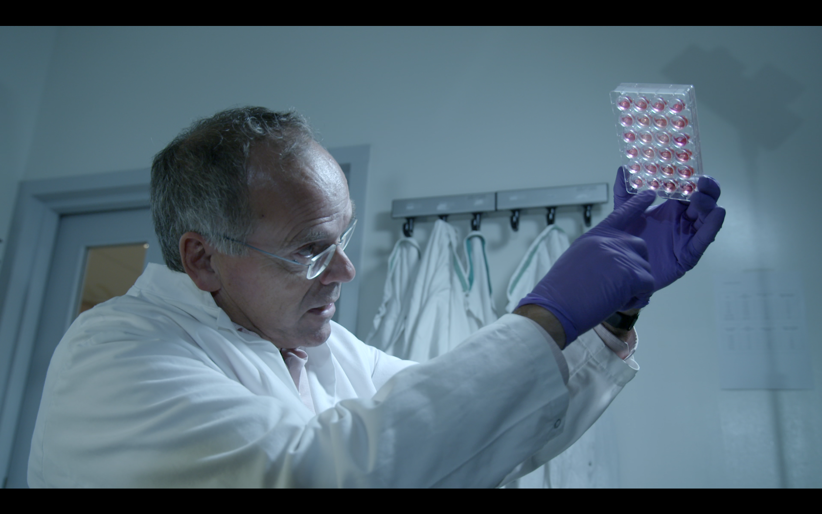 Mark Post - Bistro In Vitro